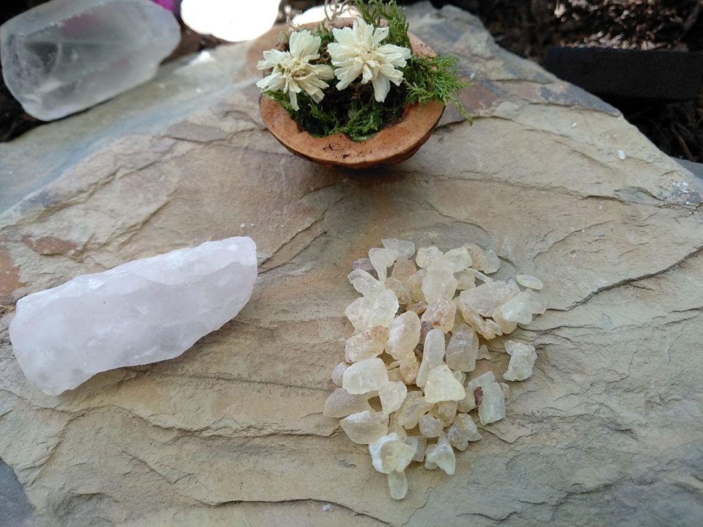 Copal Gold (Protium grandifolium) 50g 100% naturrein - Livingmind ...